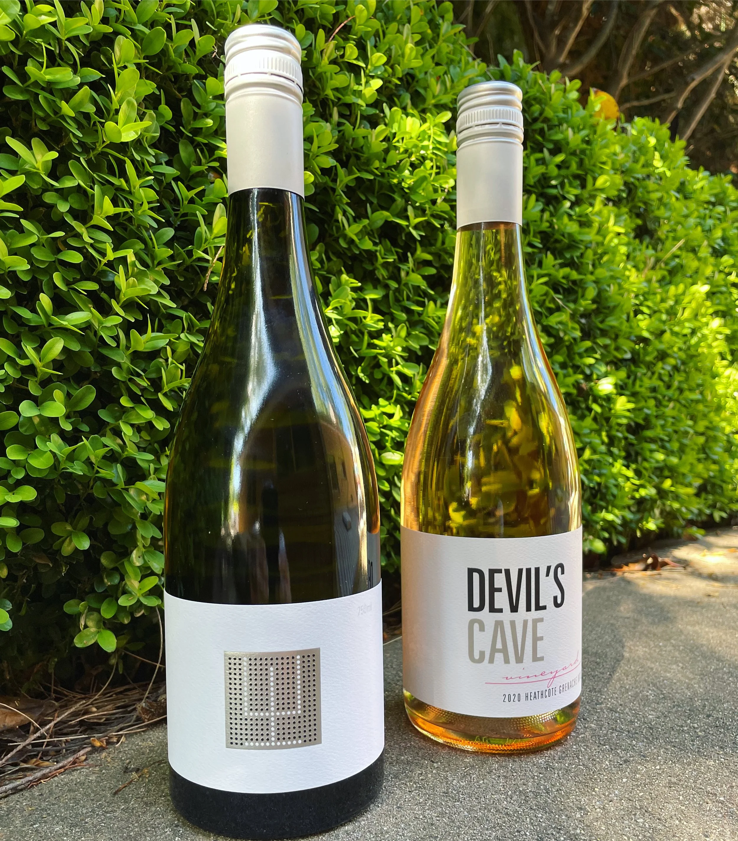 Wines — Devil's Cave Vineyard