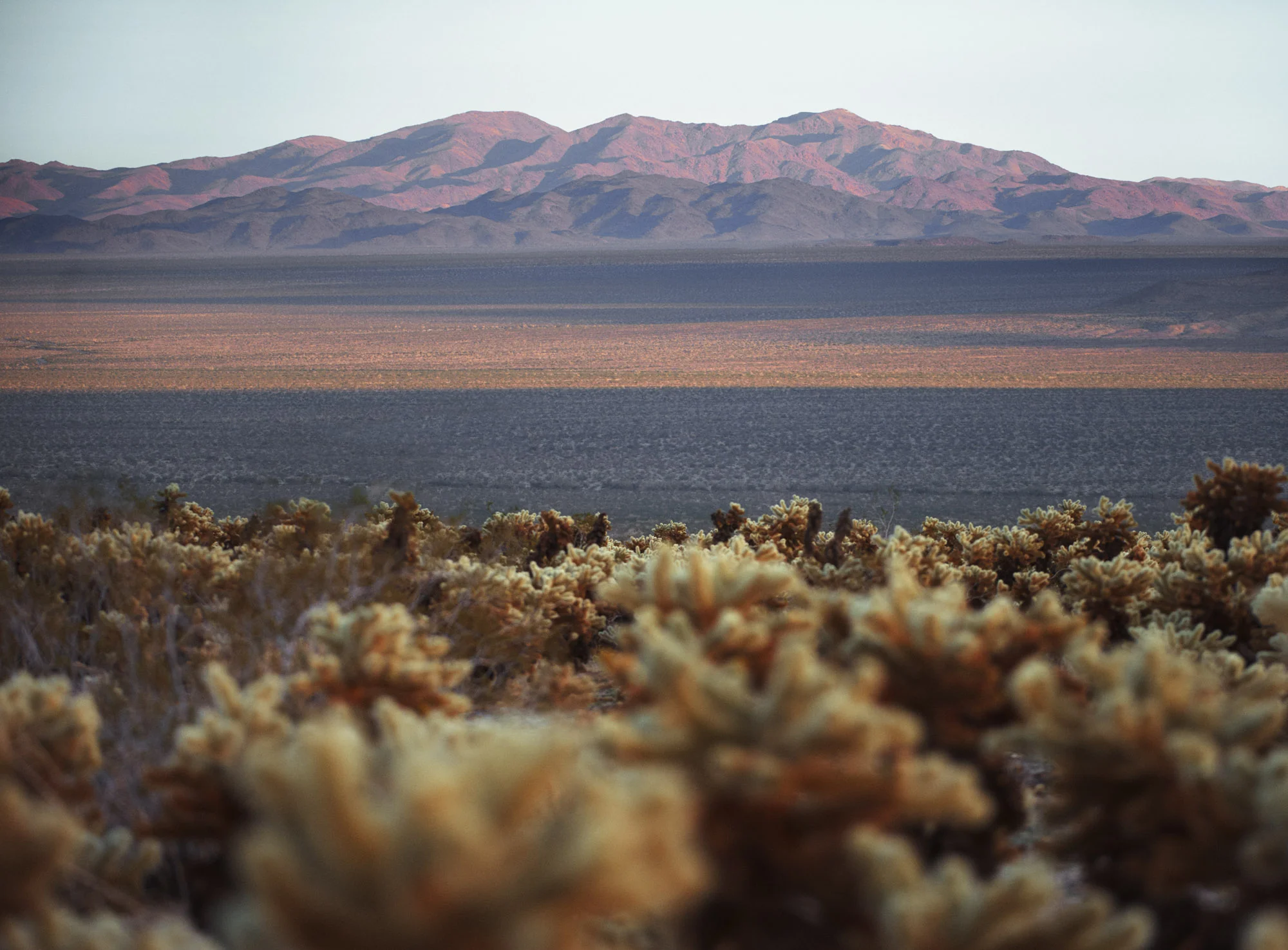 Exploring the Desert Around Joshua Tree National Park – our ultimate ...