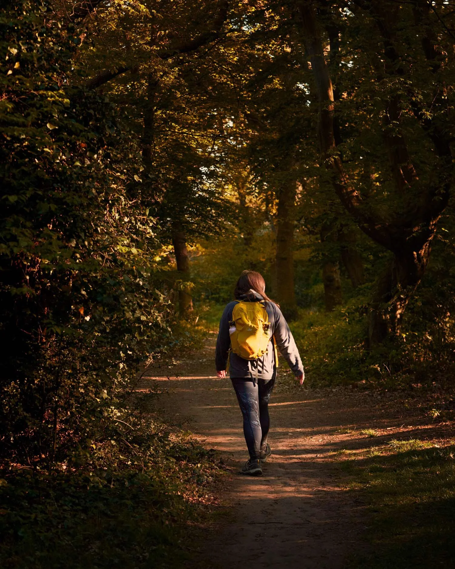 Epping Forest Walks: Seven of the best day hikes near London + trail ...
