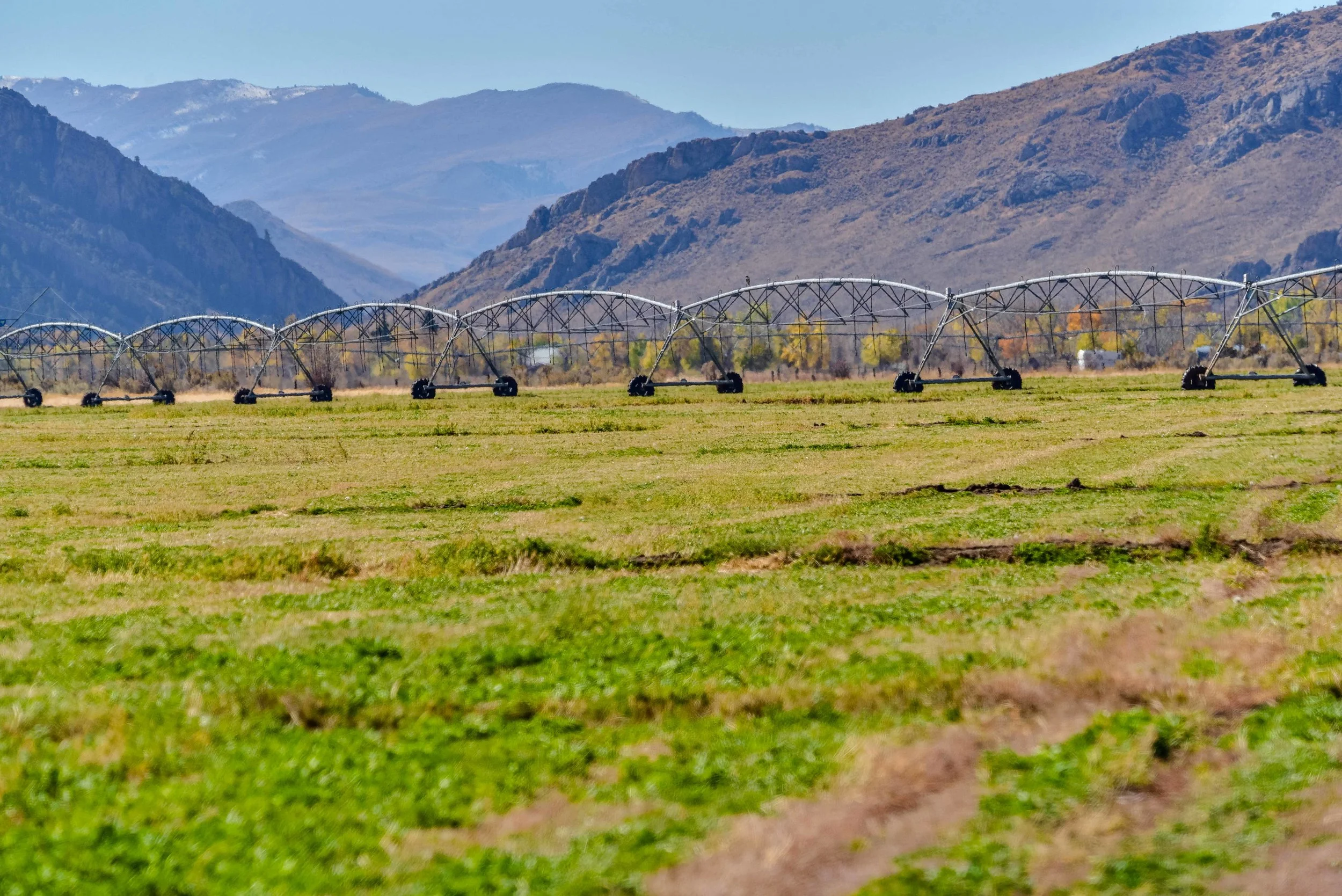 farm and ranch — LP Barnes Real Estate