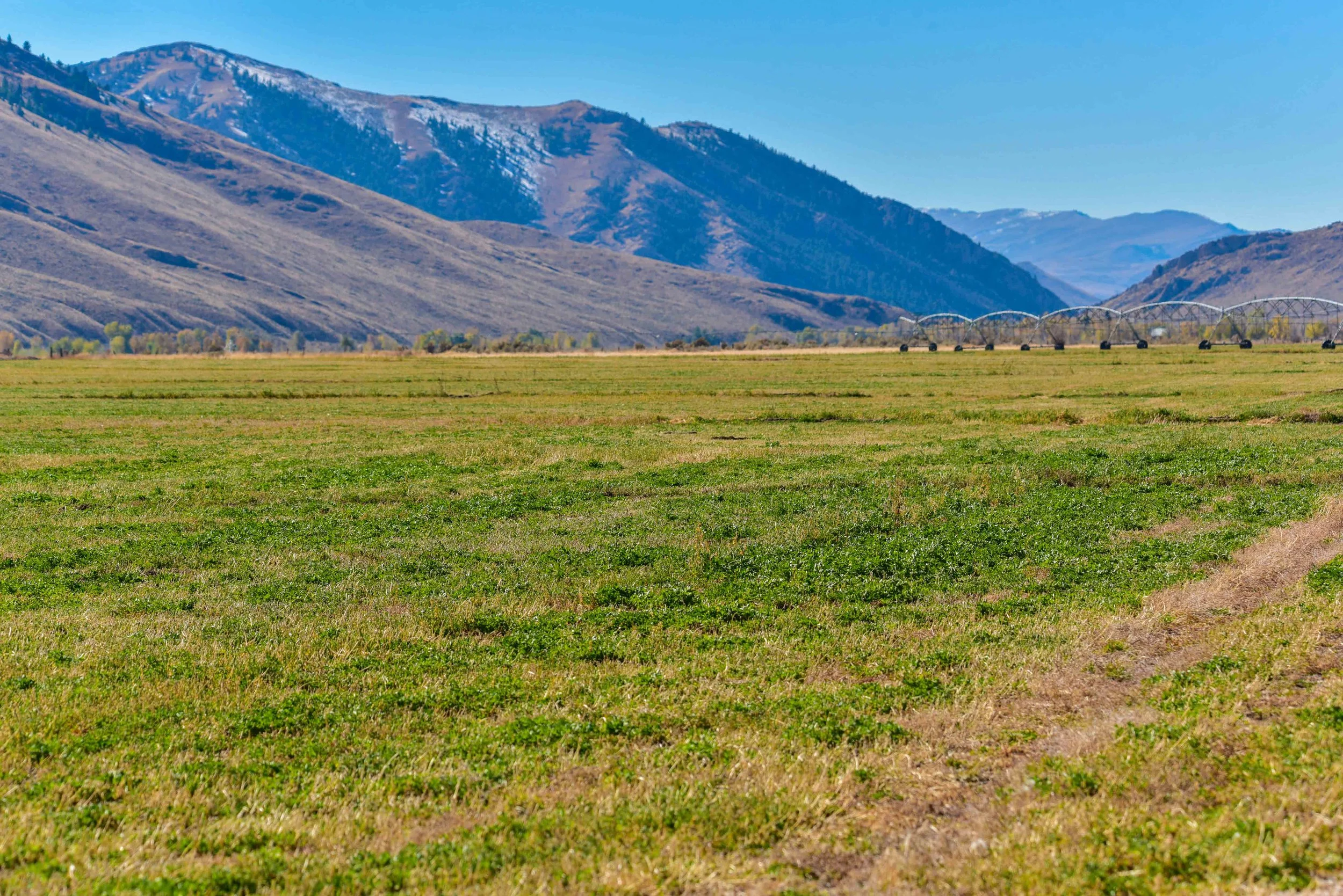 farm and ranch — LP Barnes Real Estate