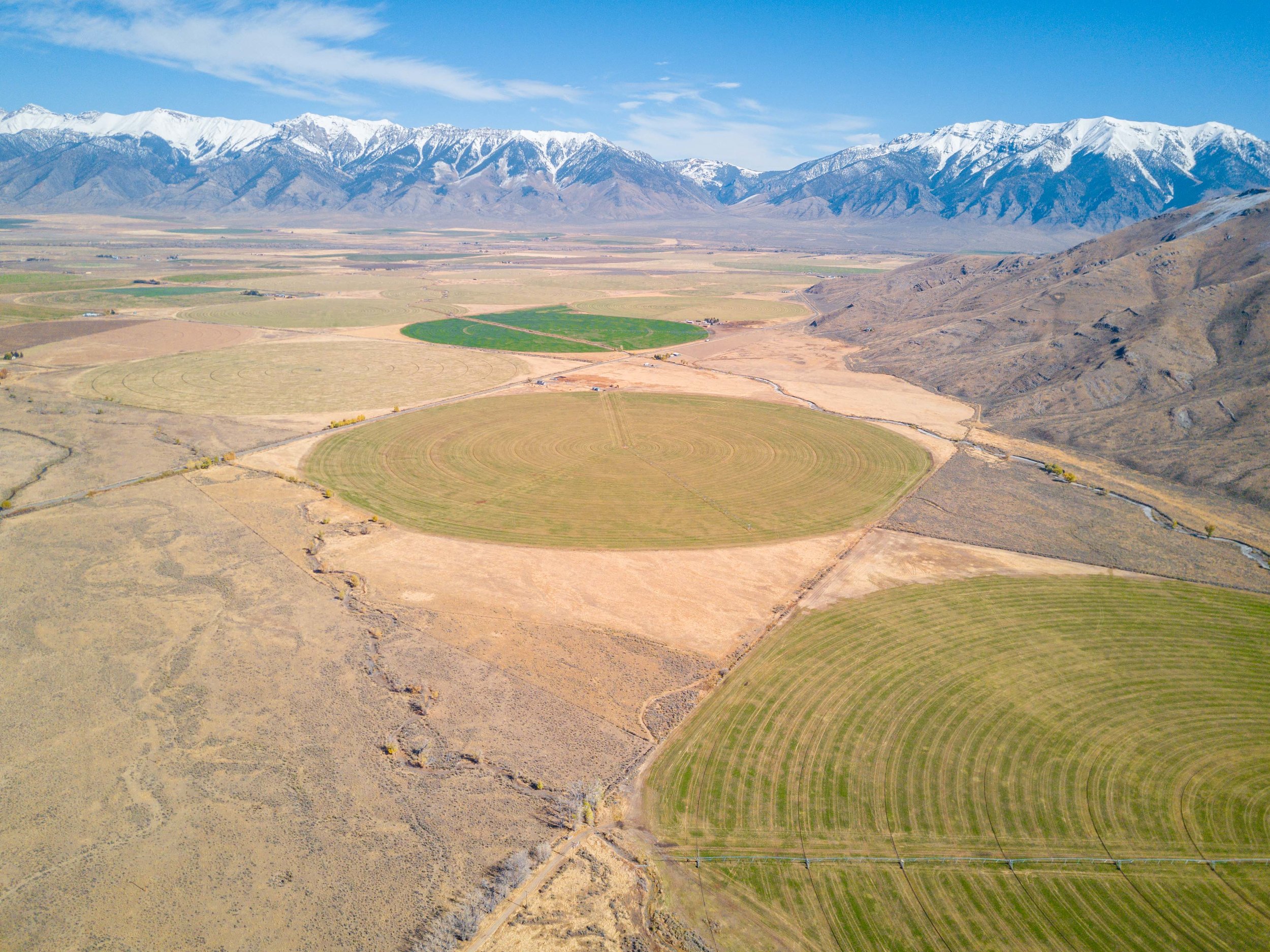 farm and ranch — LP Barnes Real Estate