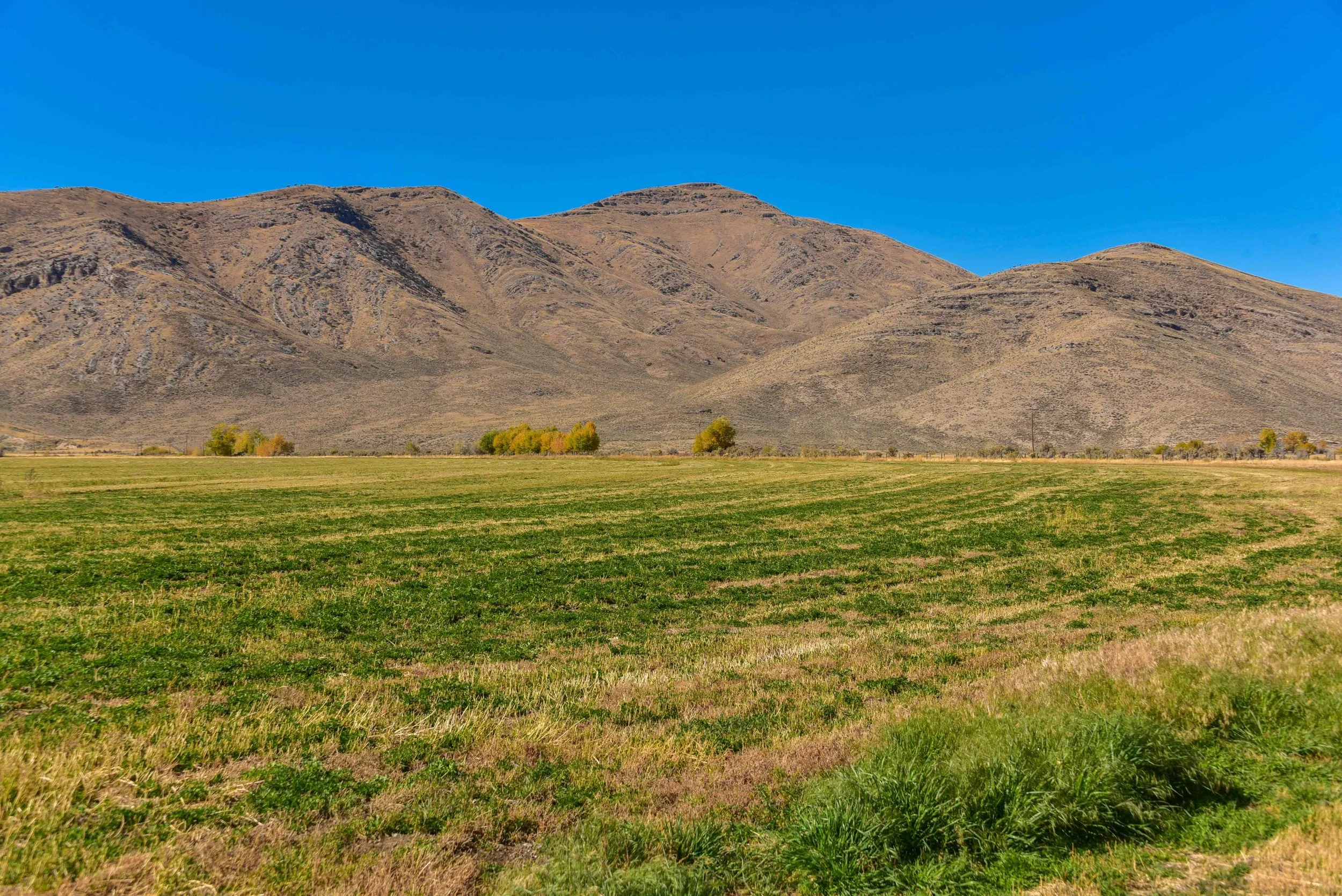 farm and ranch — LP Barnes Real Estate