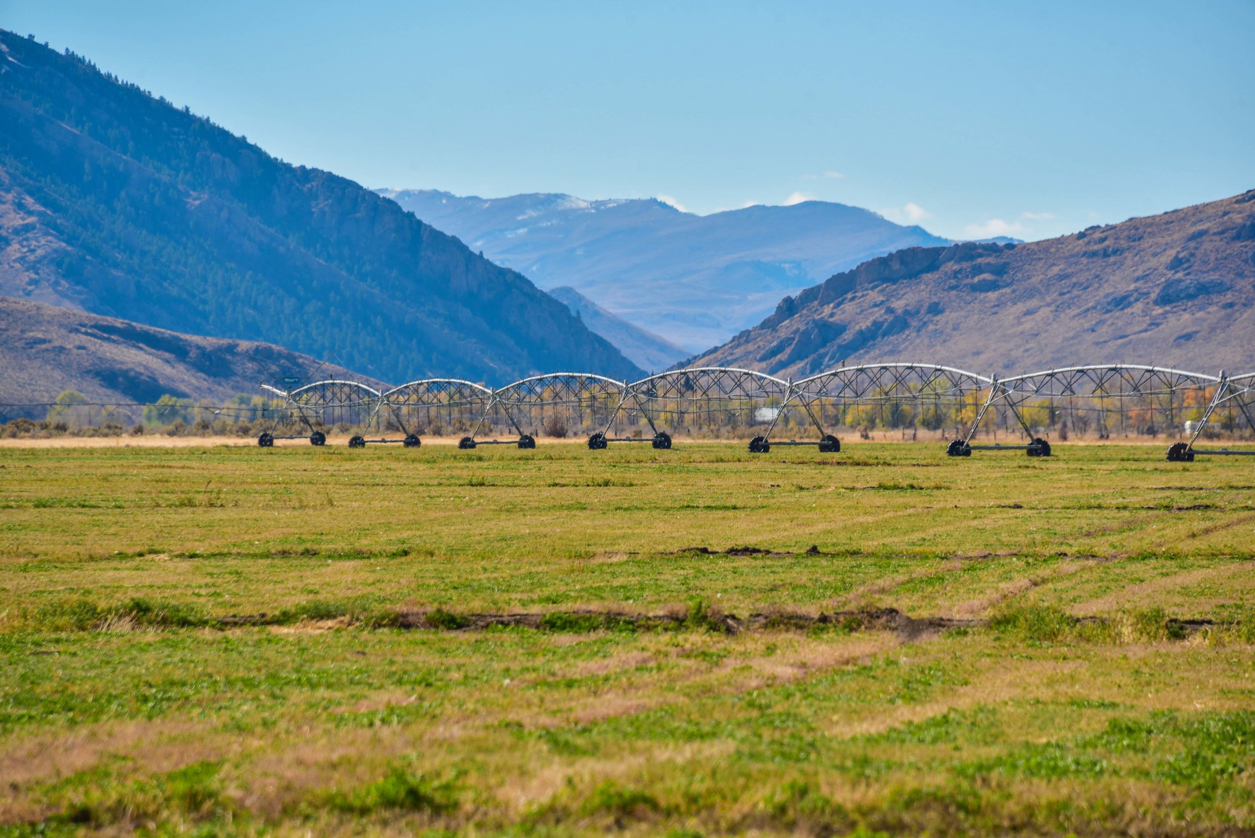 farm and ranch — LP Barnes Real Estate