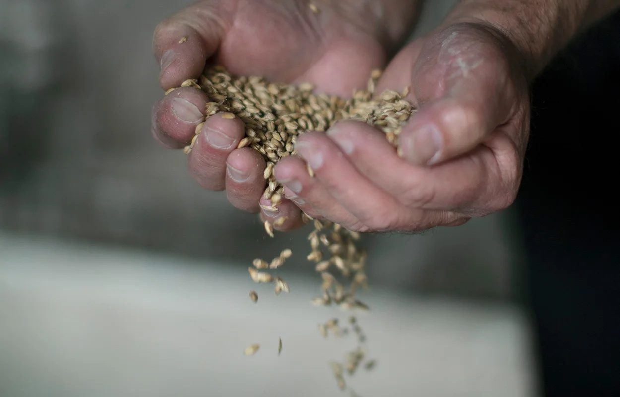 Conciere - Premium Well Spirits