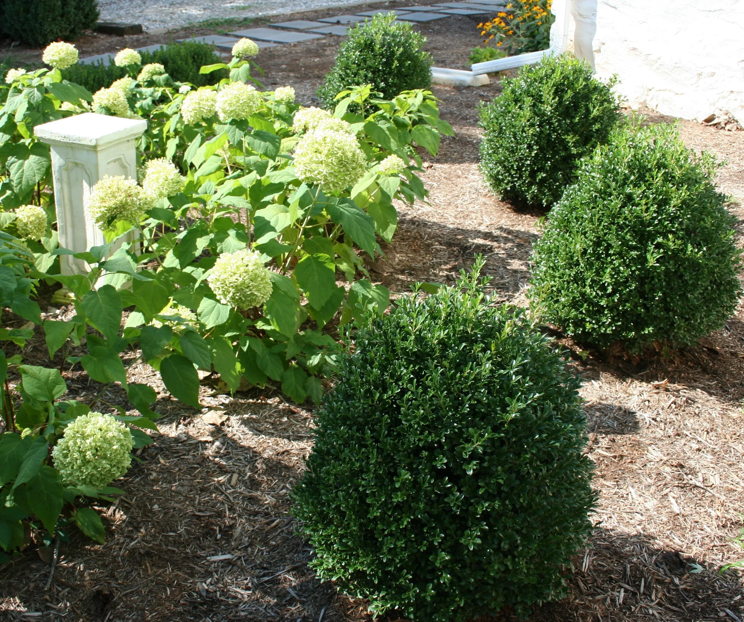 NewGen Independence™ — NewGen™ Boxwood