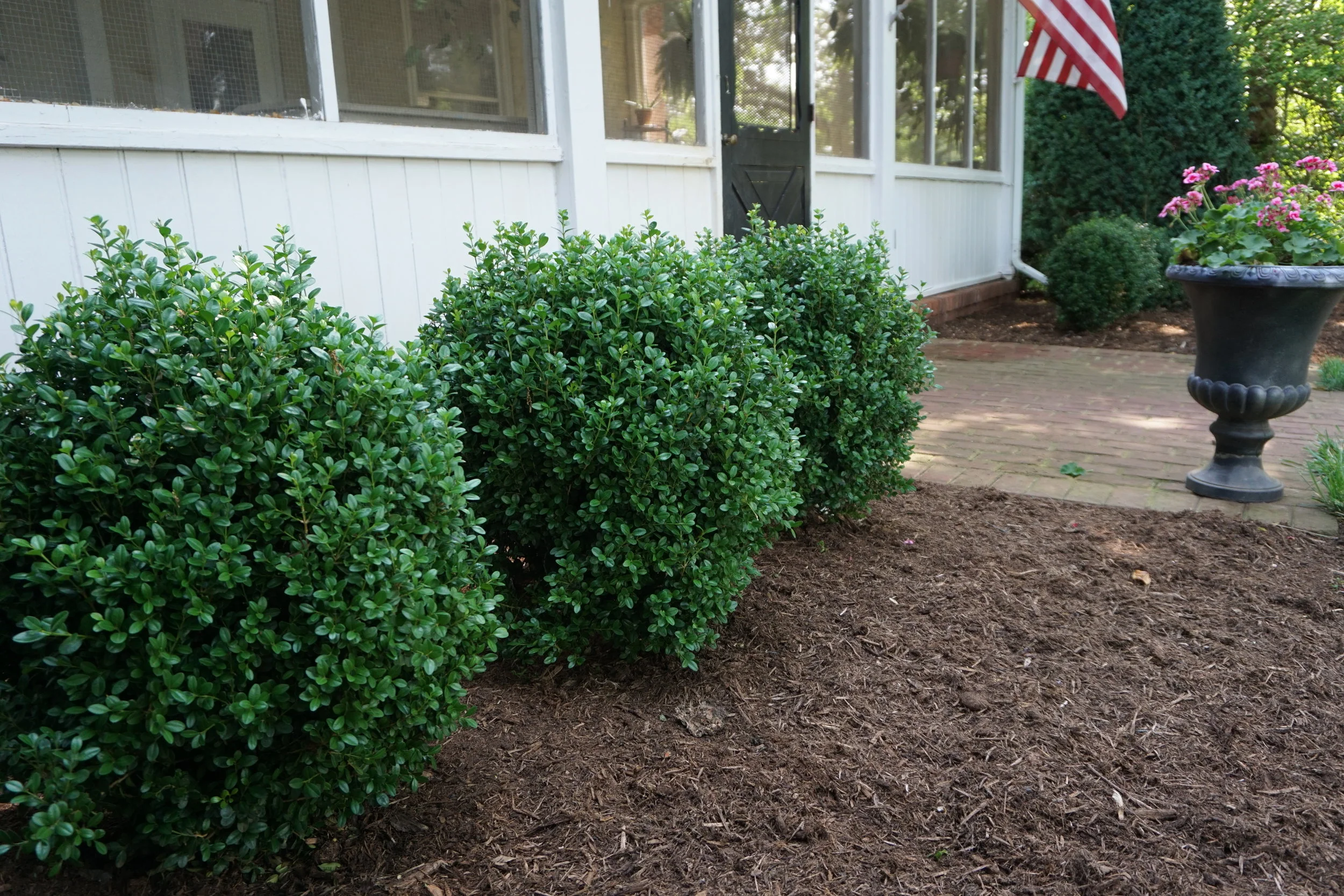 Introducing NewGen Freedom® and NewGen Independence® — NewGen™ Boxwood
