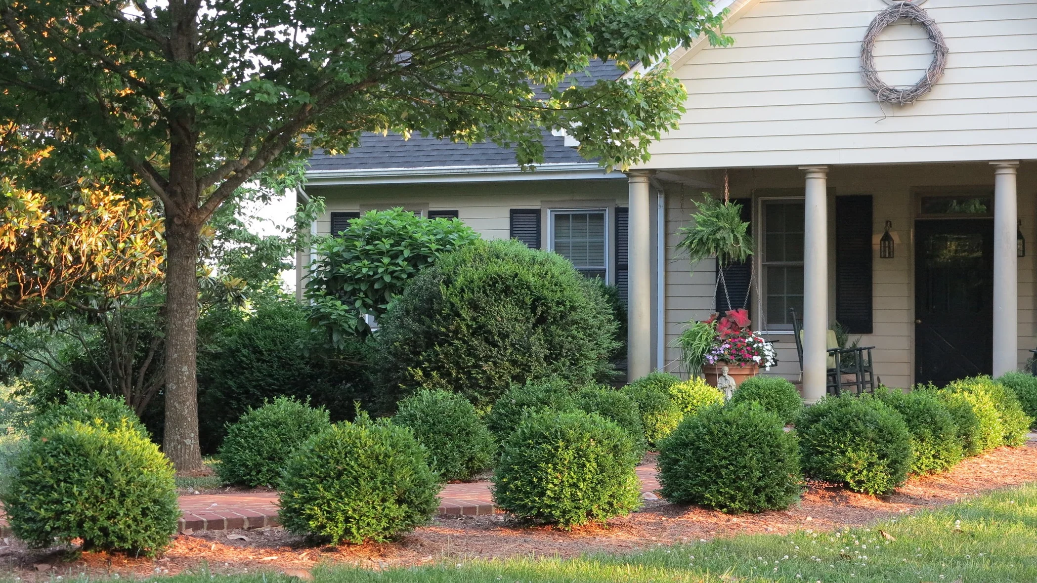 NewGen Independence™ — NewGen® Boxwood