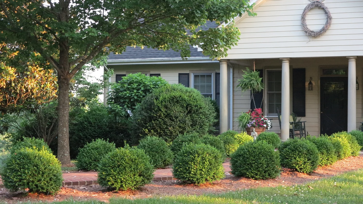 NewGen Independence™ — NewGen® Boxwood