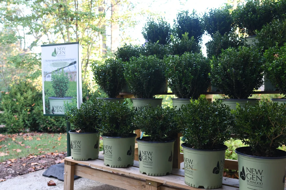 Oct. 2019: First Annual NewGen™ Field Day — NewGen® Boxwood