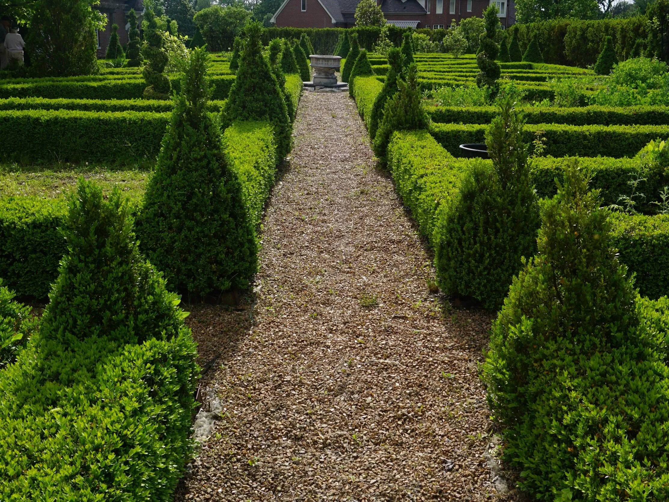 A Time to Plant Boxwood — NewGen™ Boxwood