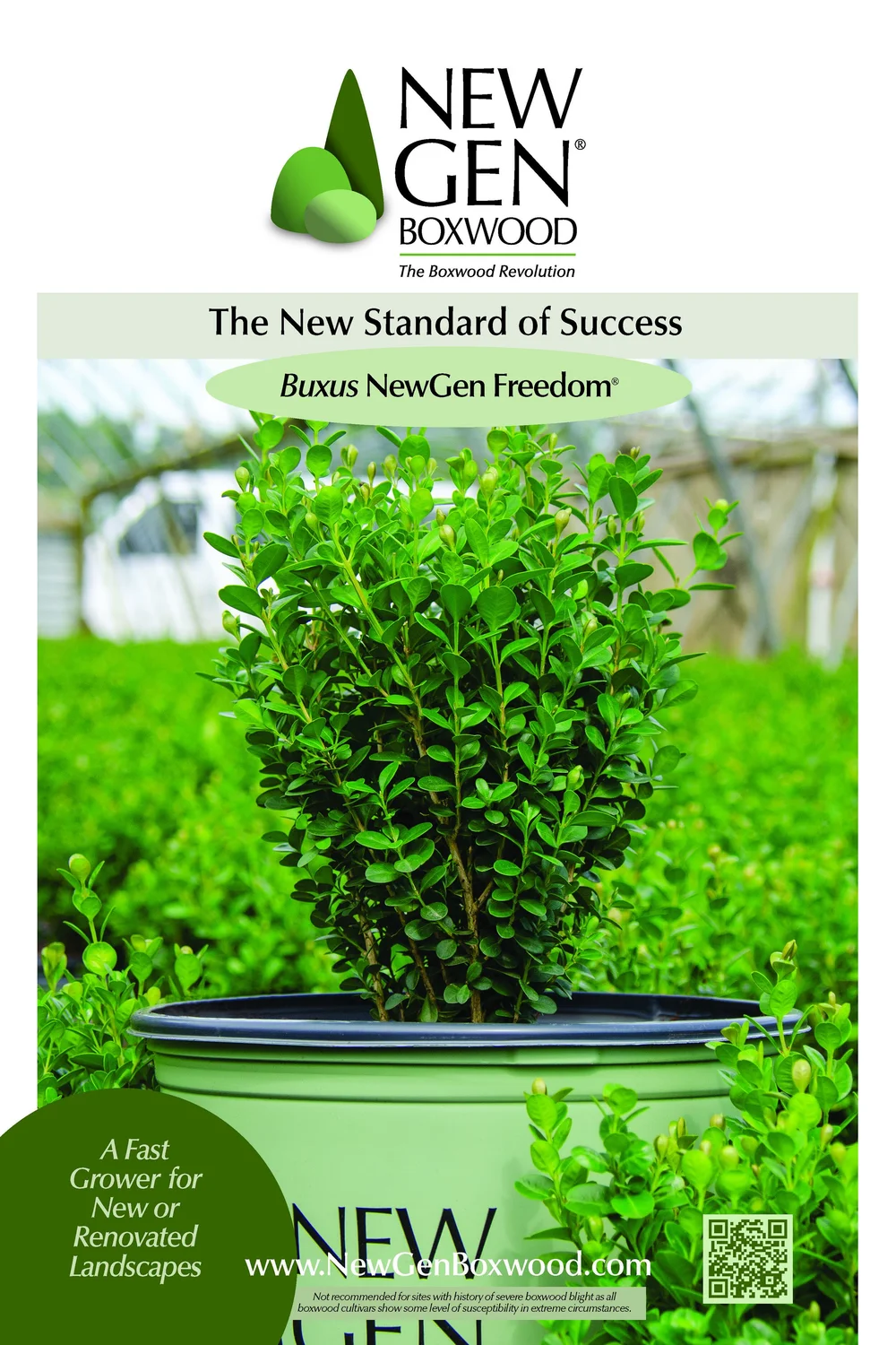Marketing Support — NewGen® Boxwood