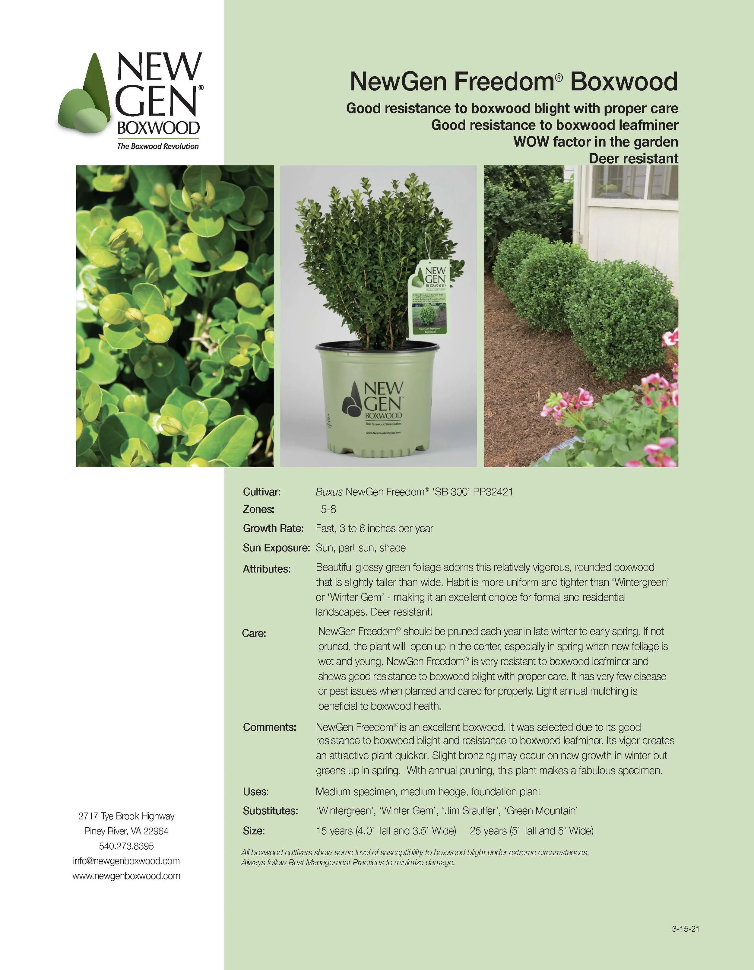 Marketing Support — NewGen® Boxwood
