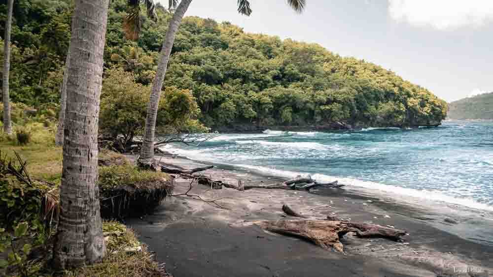 Gamat Bay on Nusa Penida - All you need to know — TravelPixelz