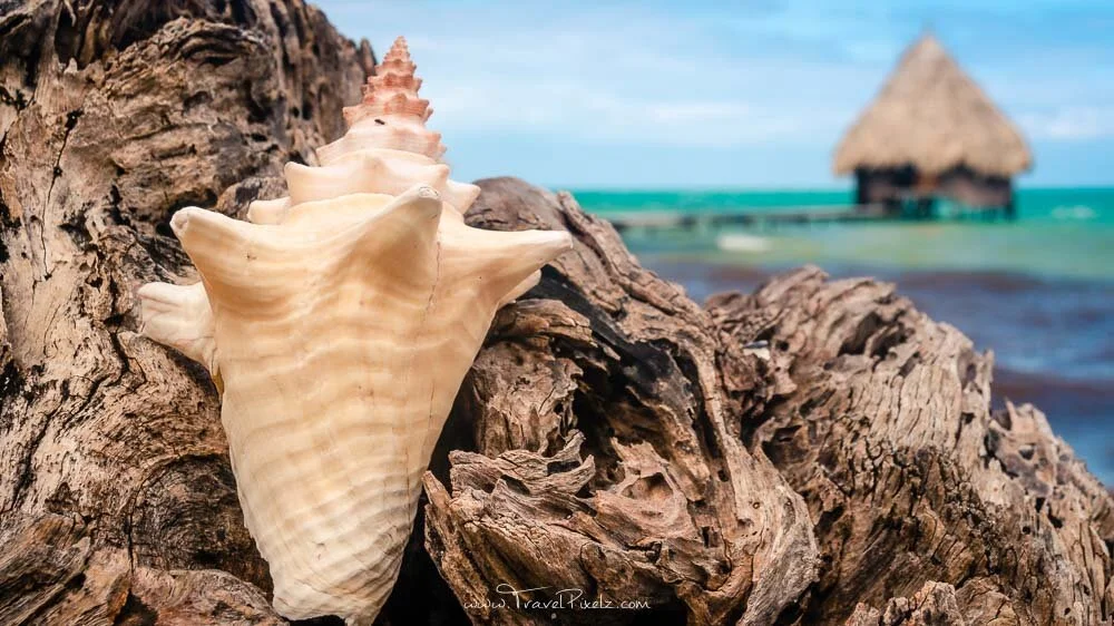 Glovers Reef on a Budget - Paradise in Belize — TravelPixelz