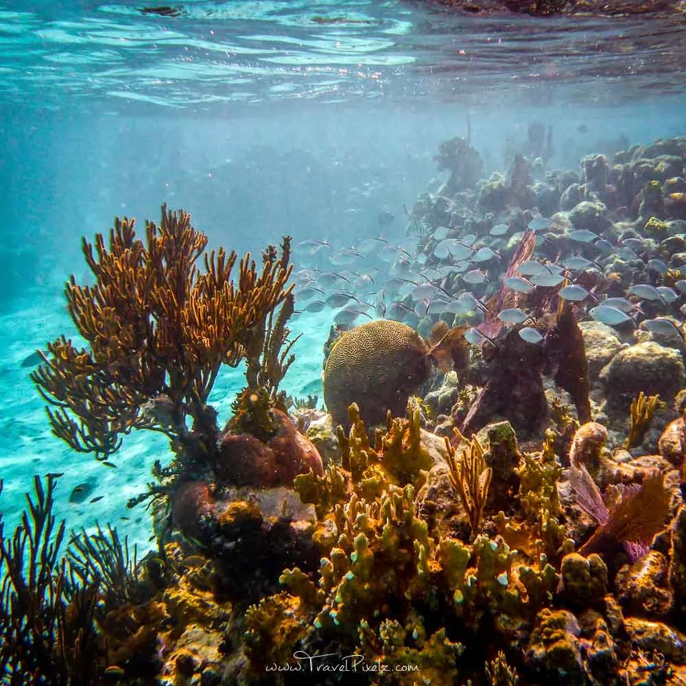 Glovers Reef on a Budget - Paradise in Belize — TravelPixelz