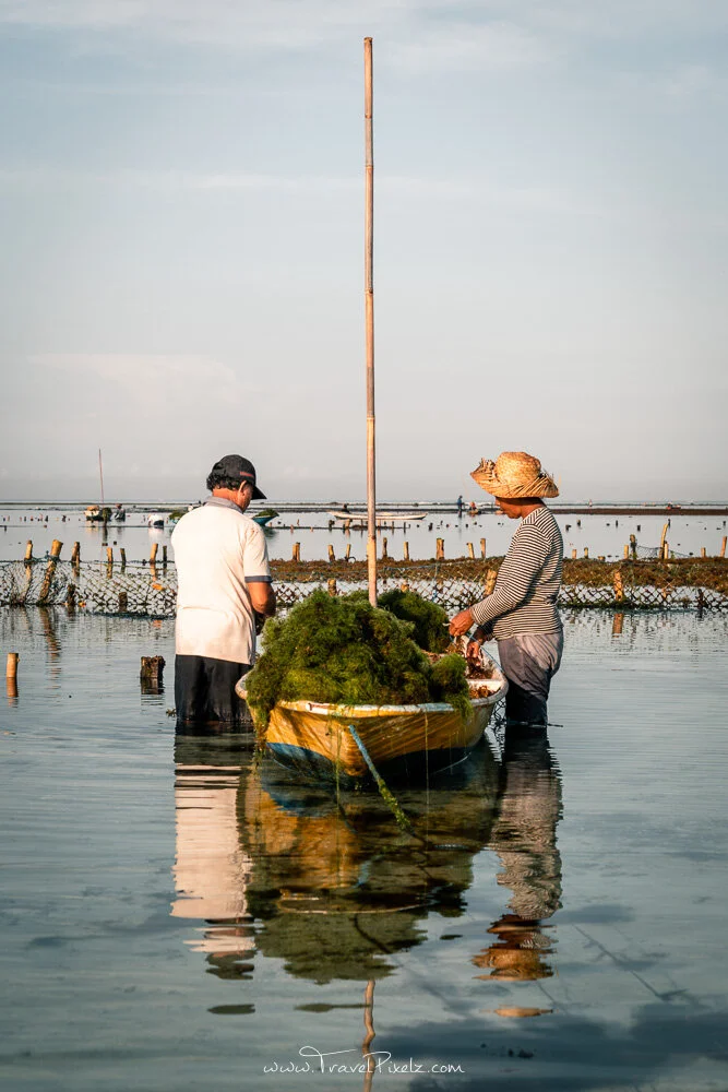 The Seaweed Farms of Nusa Lembongan, Bali - A Photo Story — TravelPixelz