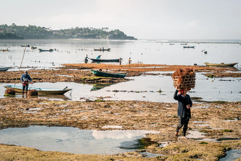 The Seaweed Farms of Nusa Lembongan, Bali - A Photo Story — TravelPixelz
