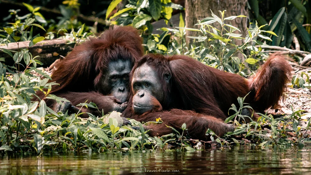 What to do on Atauro Island | Timor Leste — TravelPixelz