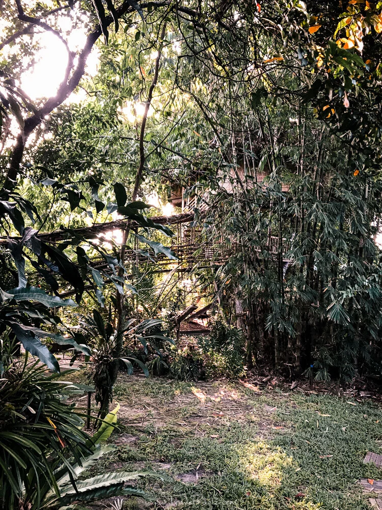 Visit Borneo's Orangutans on a Budget - Kaja Island / Palangkaraya ...