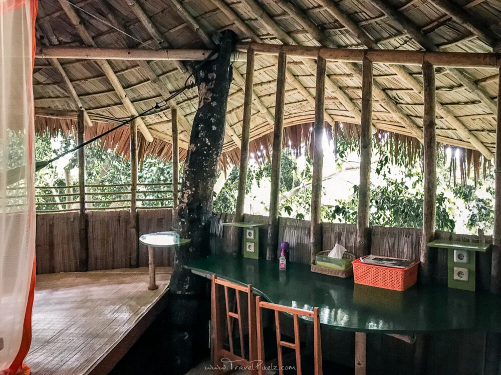 Visit Borneo's Orangutans on a Budget - Kaja Island / Palangkaraya ...