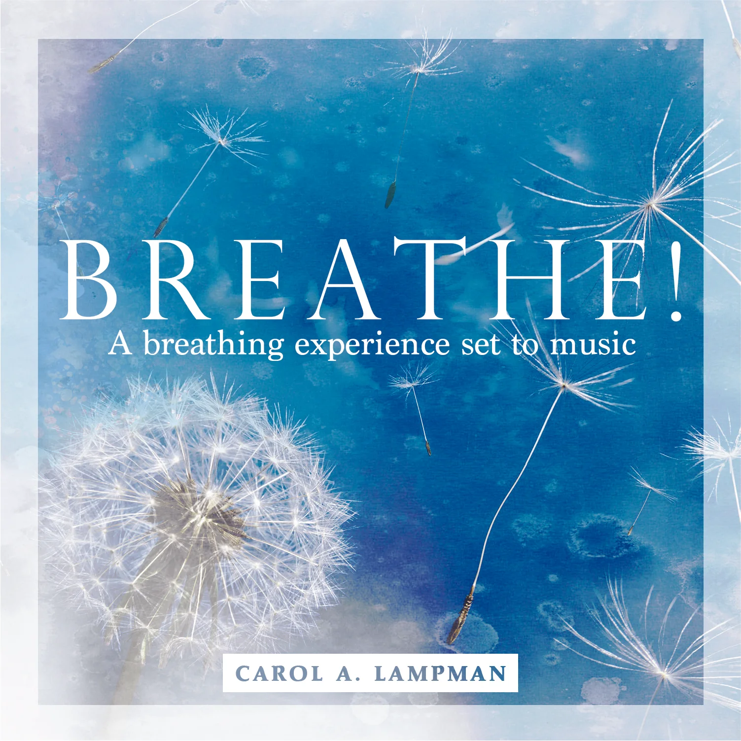 Integration Concepts