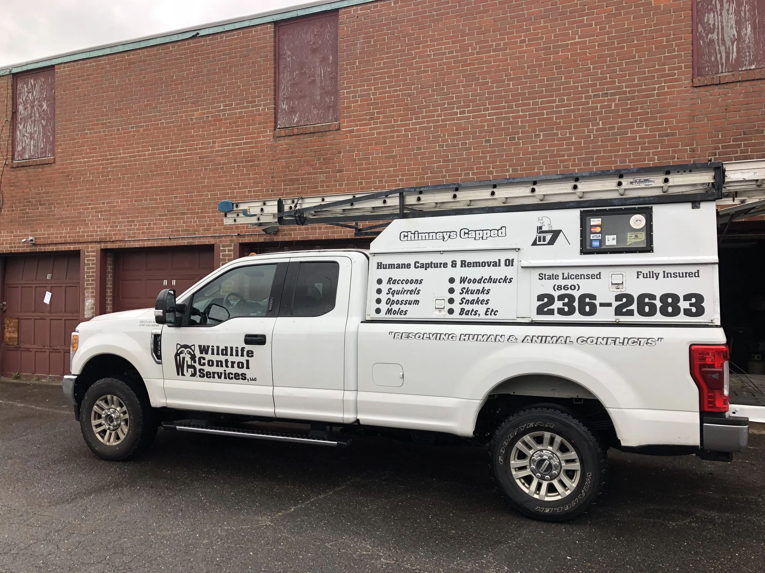 Hartford County CT Pest Removal — Wildlife Control Services LLC