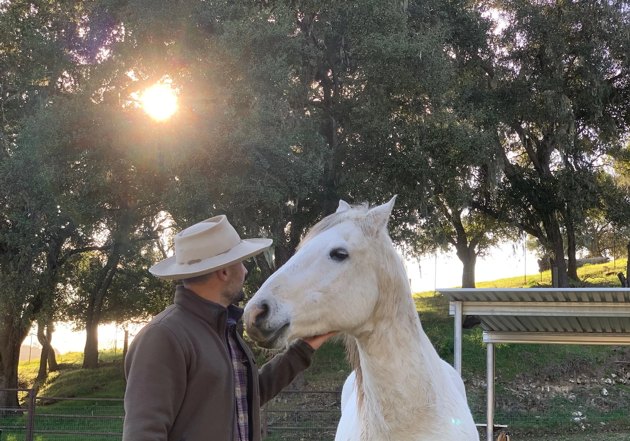 OT Online — Oregon Tails