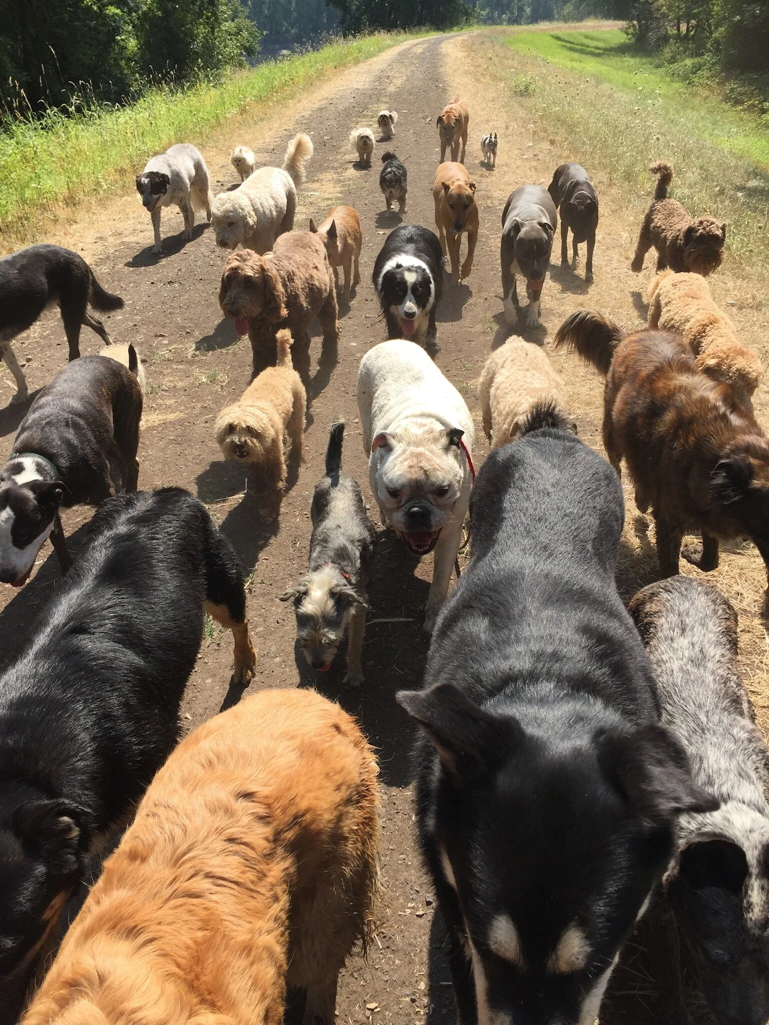 OT Online — Oregon Tails