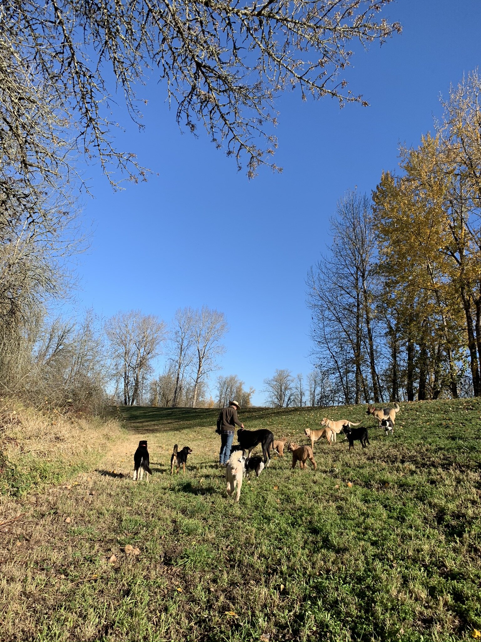 OT Online — Oregon Tails