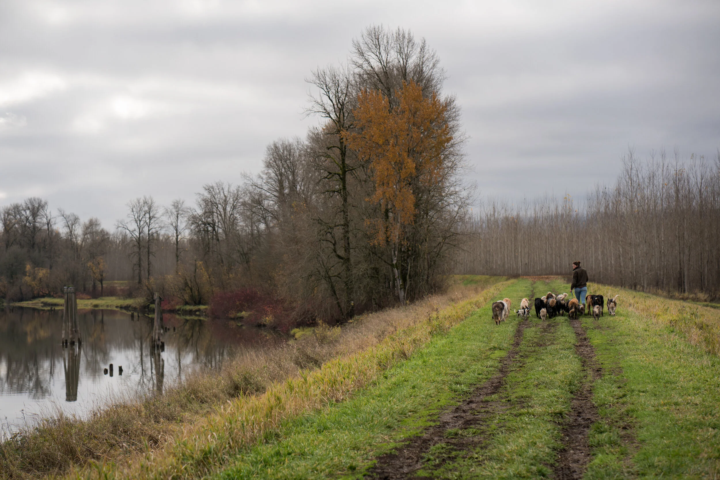 OT Online — Oregon Tails