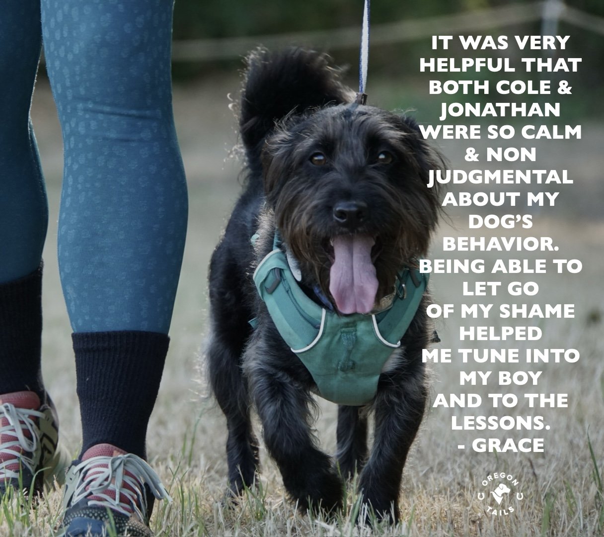 Testimonials — Oregon Tails