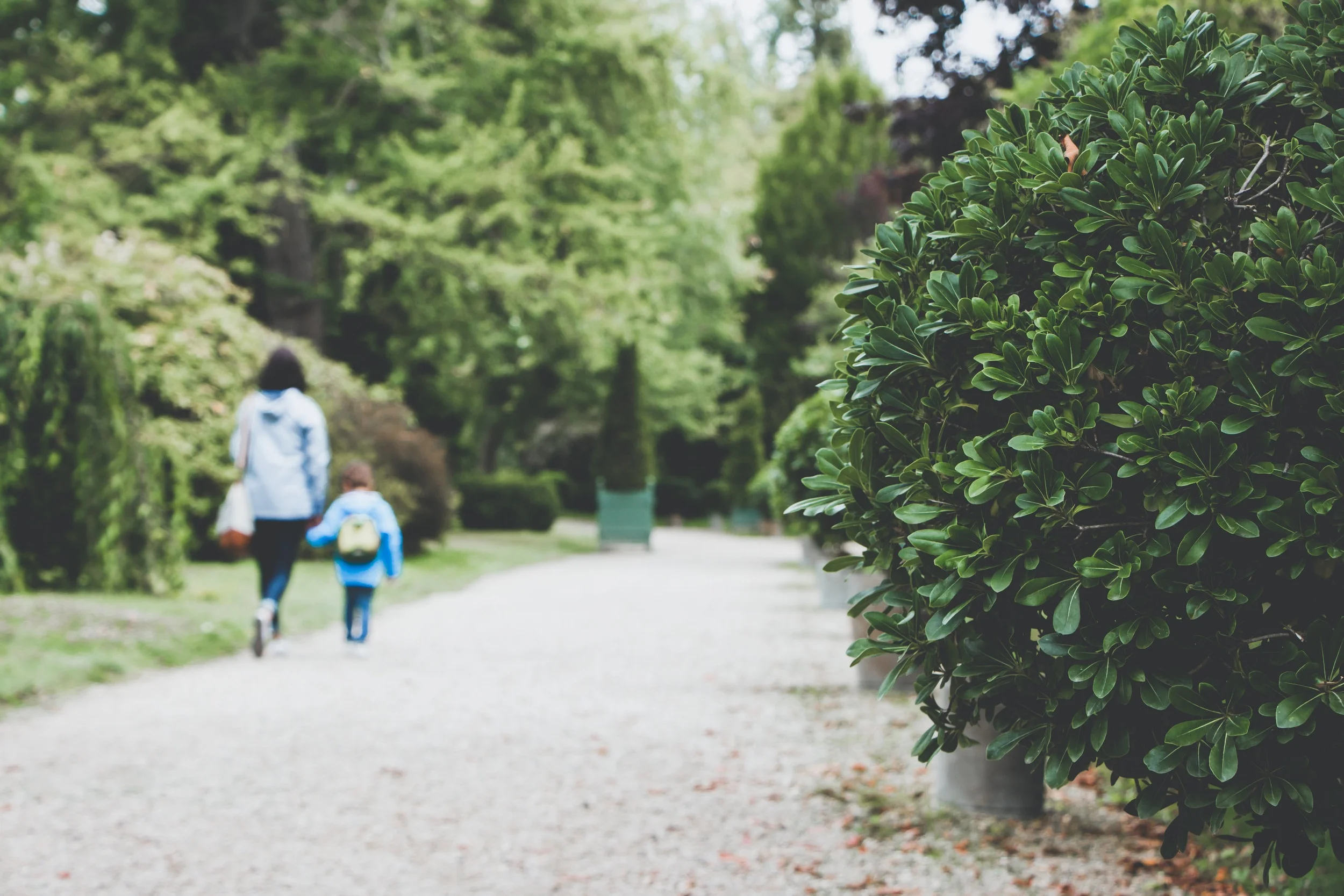 Raising Resilient Parents Mental Health Pastoral Care Institute raising-resilient-parents-mental-health-pastoral-care-institute