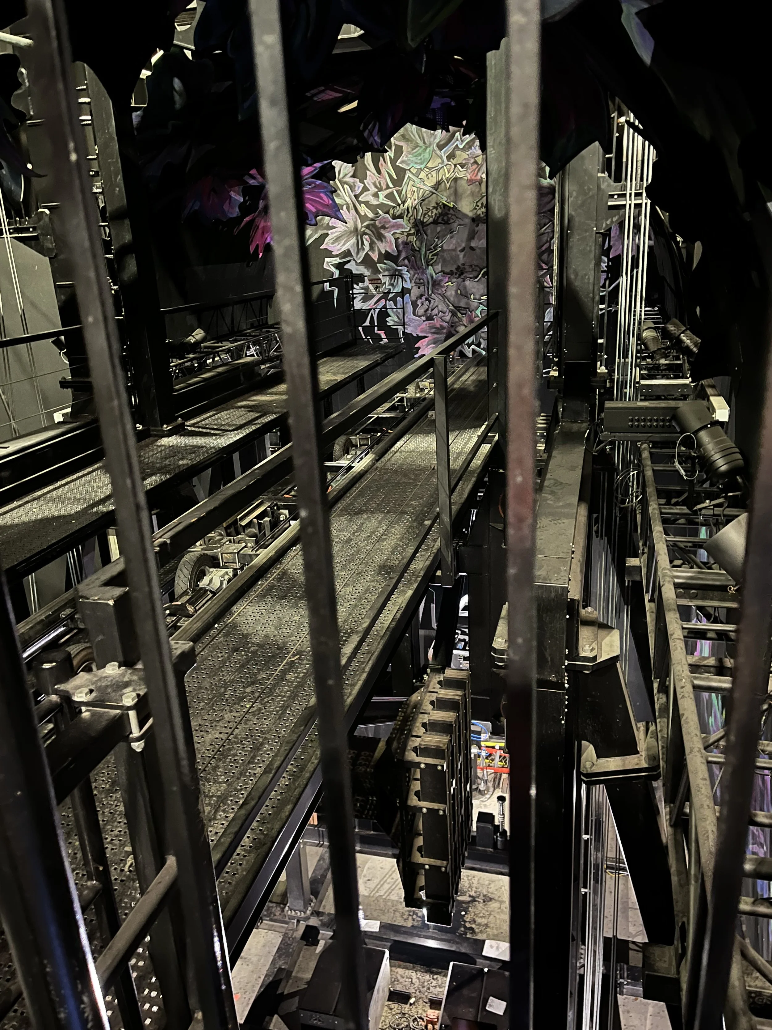 The Best Experience at Busch Gardens Williamsburg Isn’t a Ride (Kind of ...