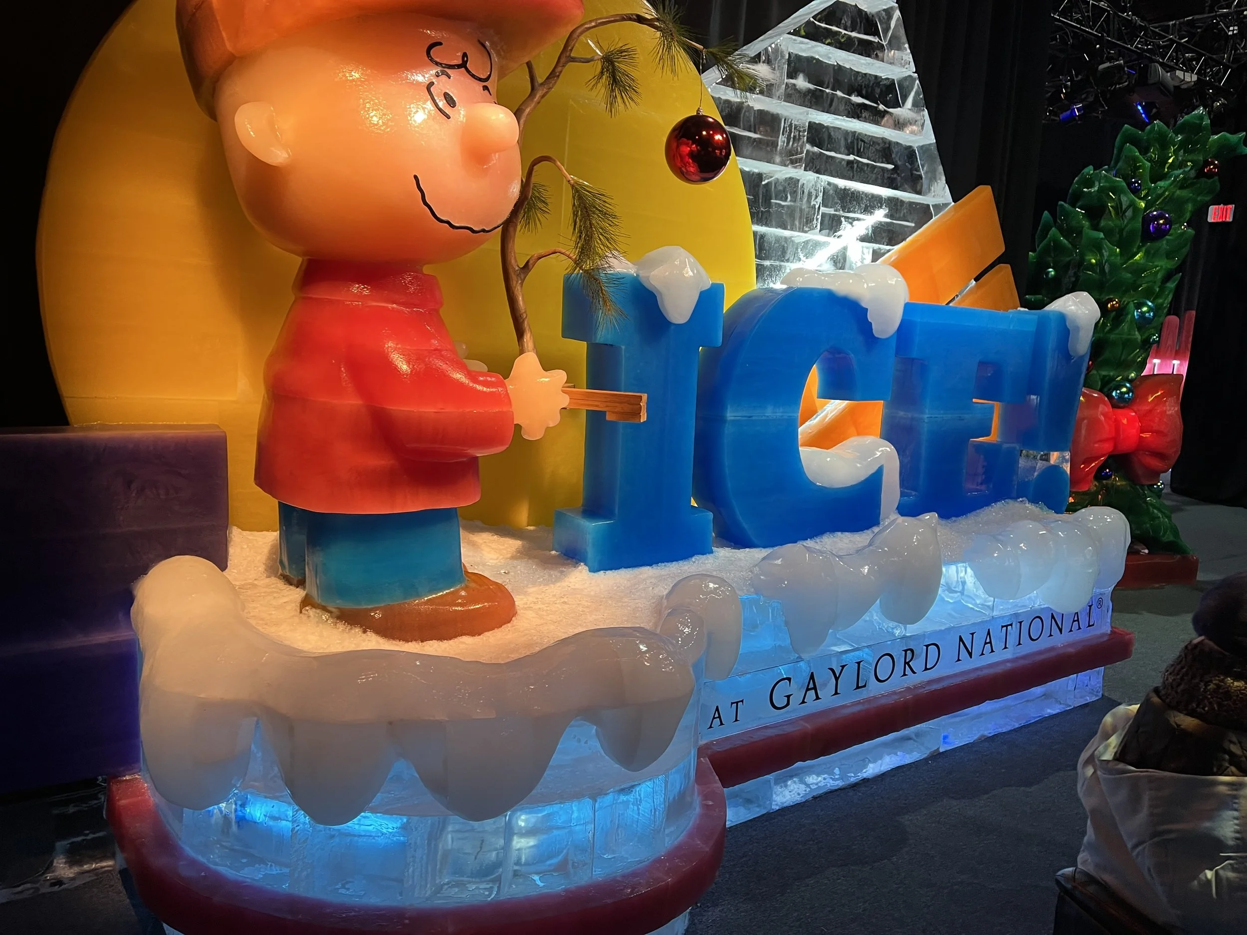 ICE at Gaylord National Resort Review — Park Rovers