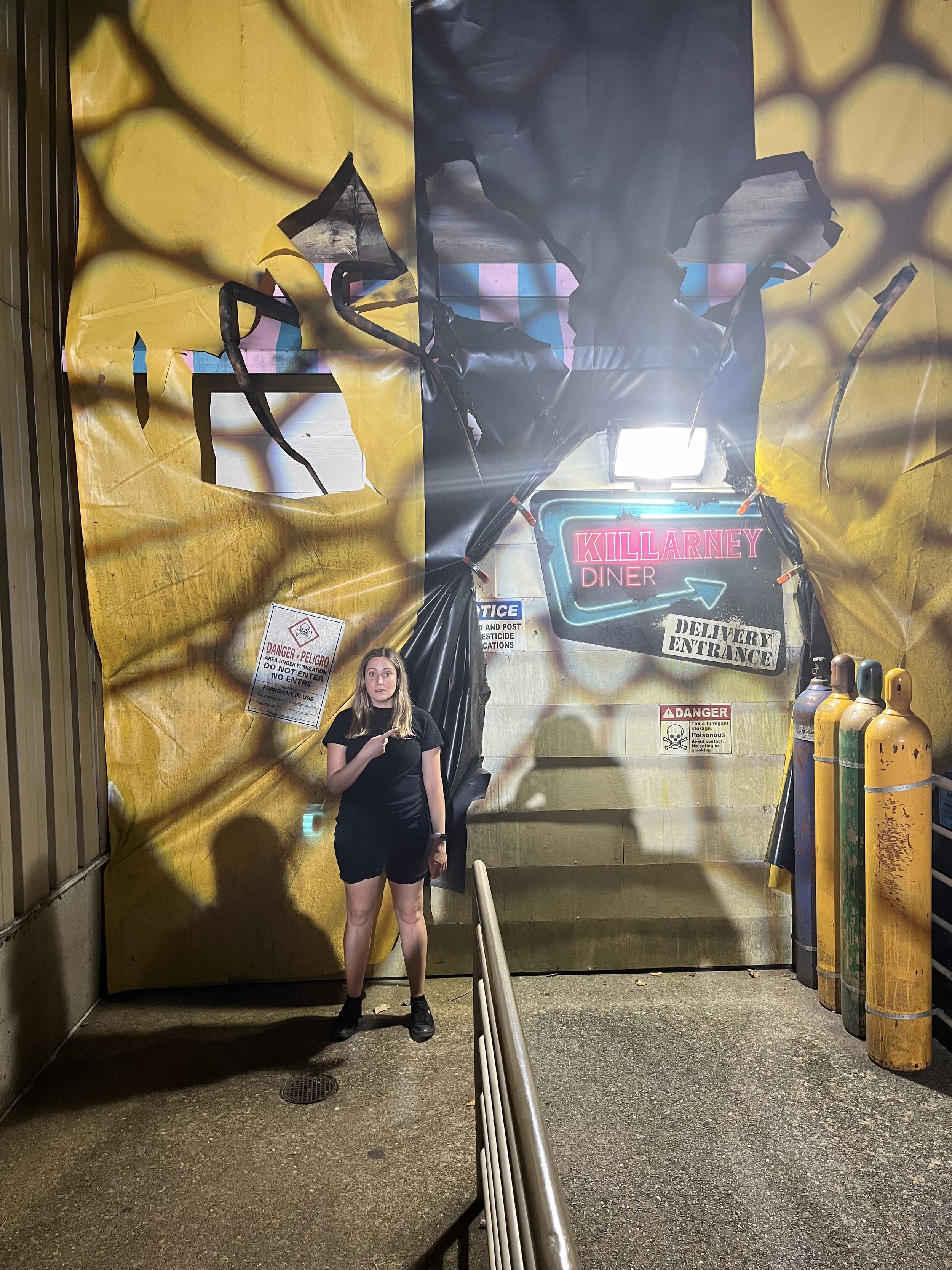 A Comprehensive Guide and Review of Busch Gardens Williamsburg Howl-O ...