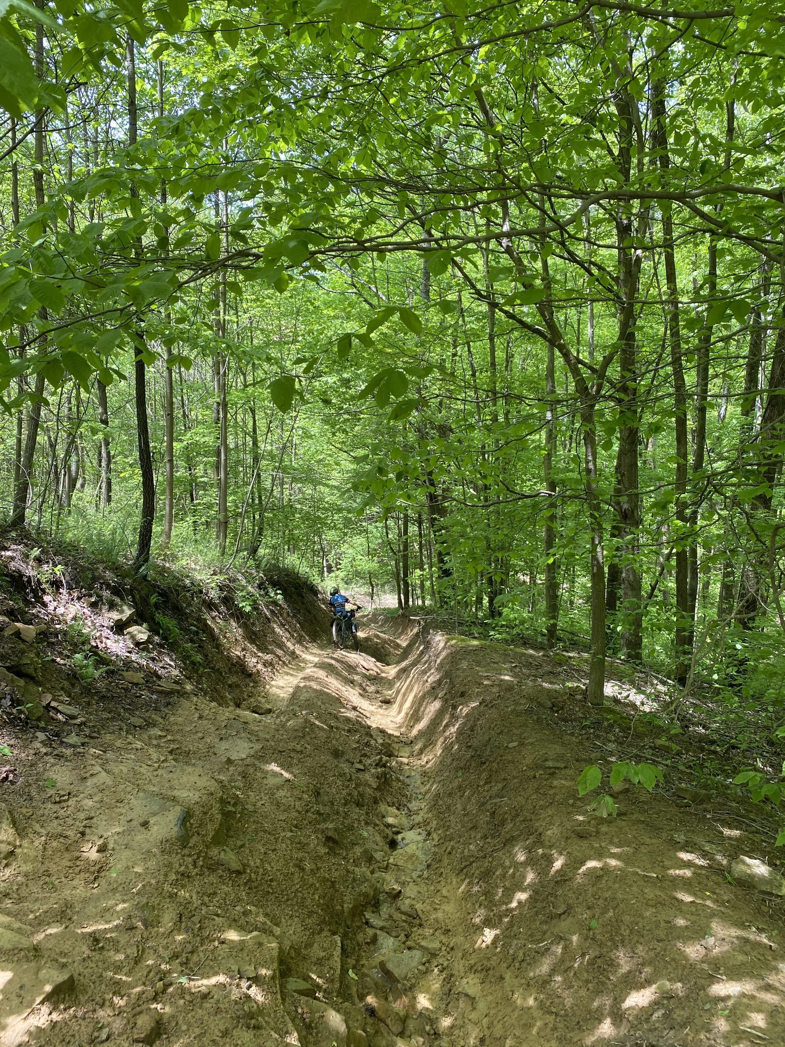 Ohio Gravel Grinders - Recap: Tar Hollow Adventure Plus 42