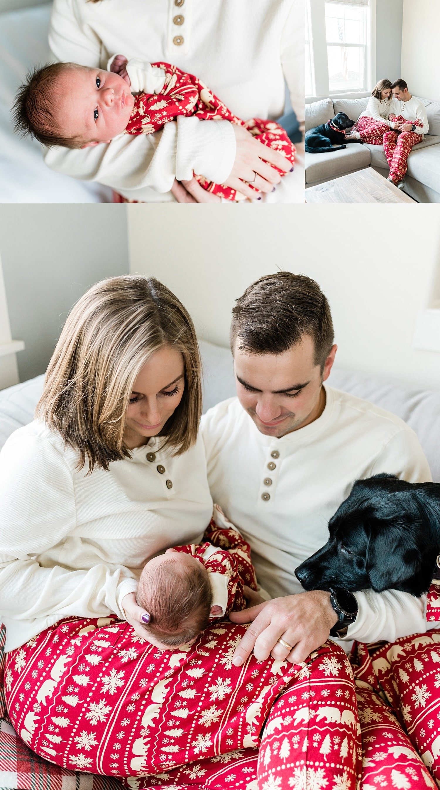 Baby's First Christmas Photo Shoot — Elizabeth Hite Photography