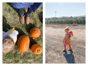 Best Pumpkin Patches Portland for Families — Elizabeth Hite Photography