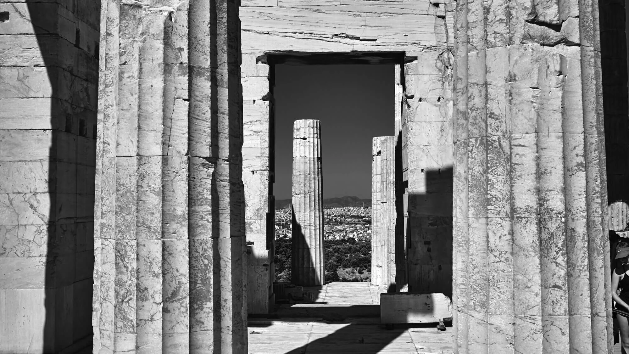 David Levitz Photography