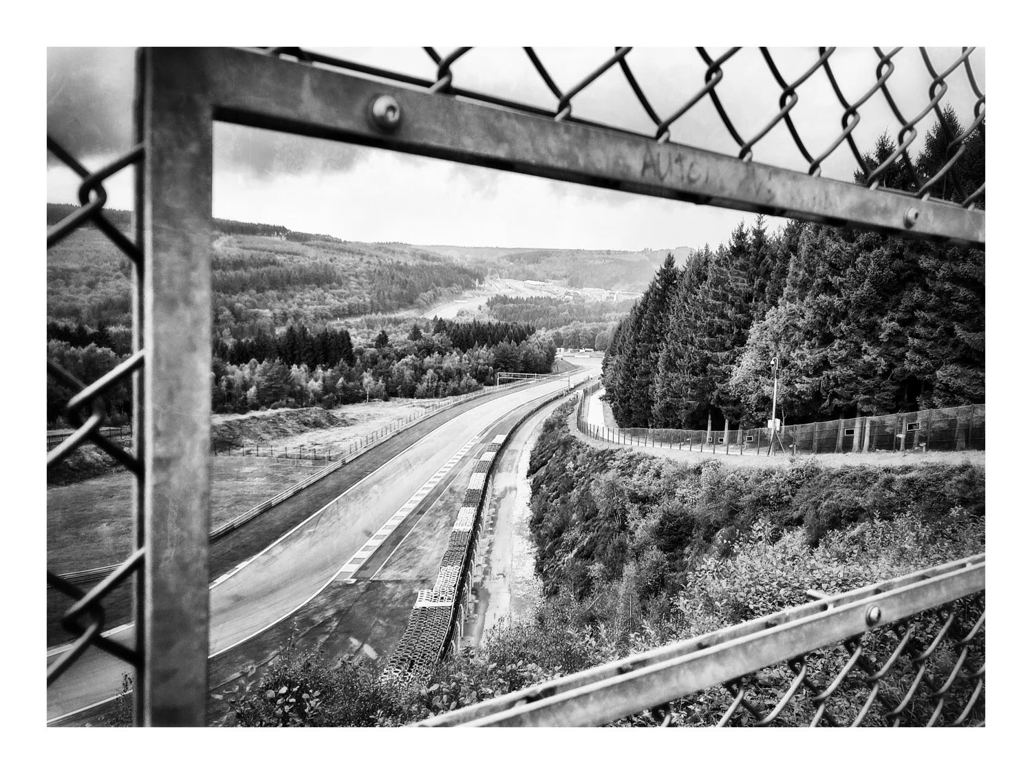 SPA — horst hamann