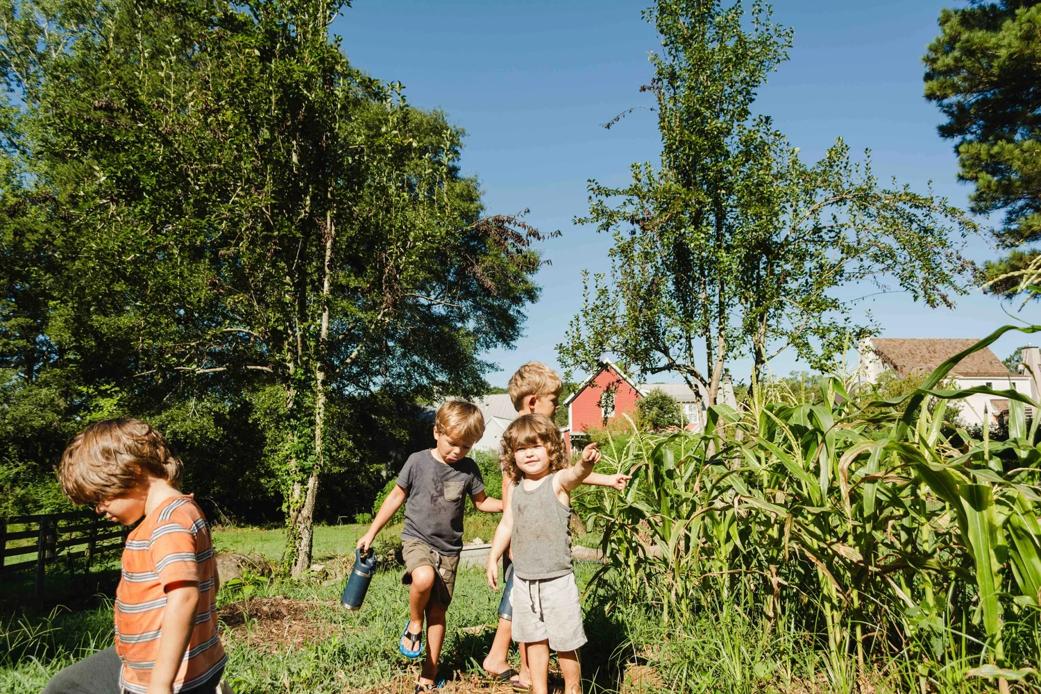 Serenbe Farms