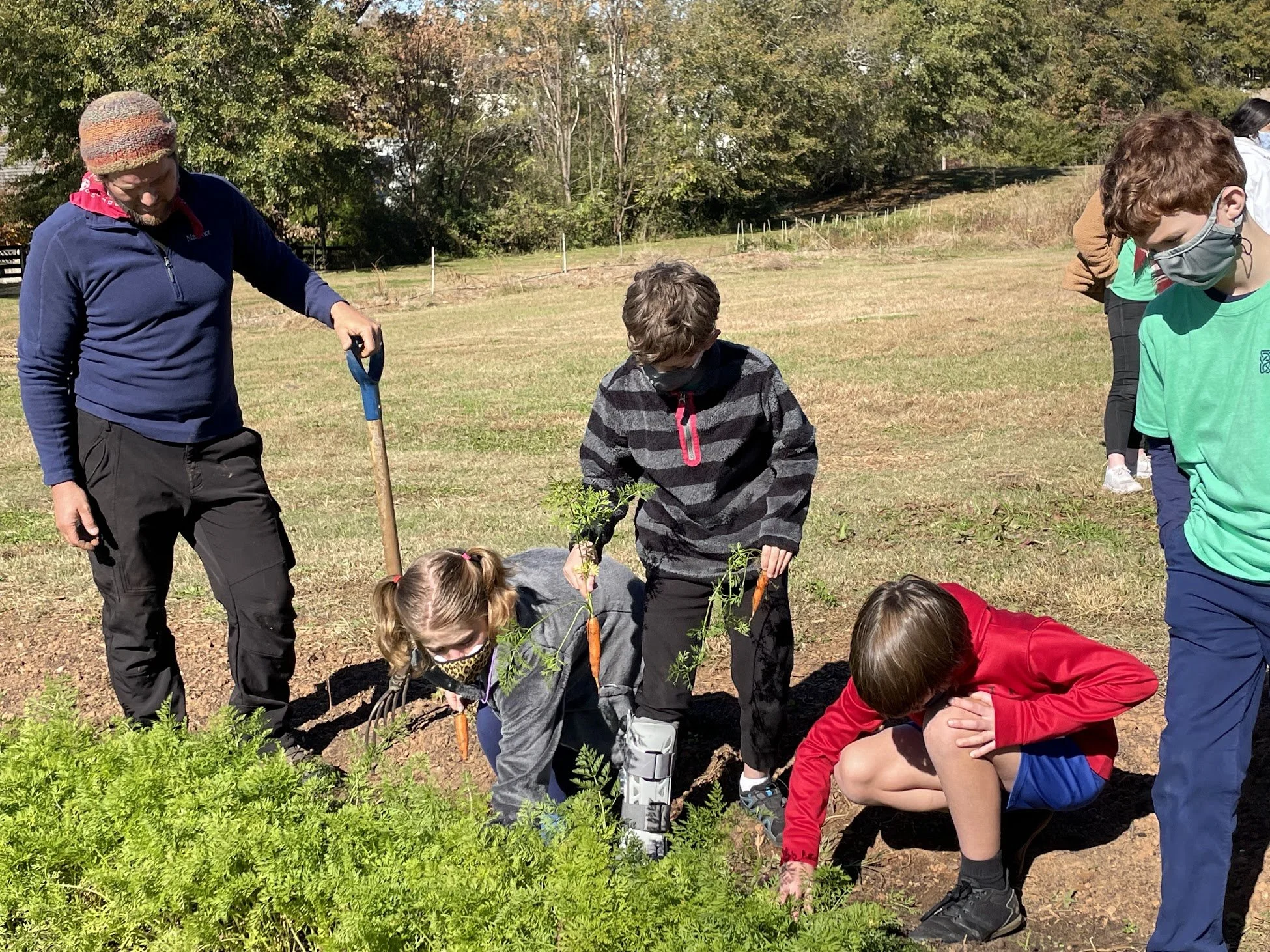 Farm Tours — Serenbe Farms