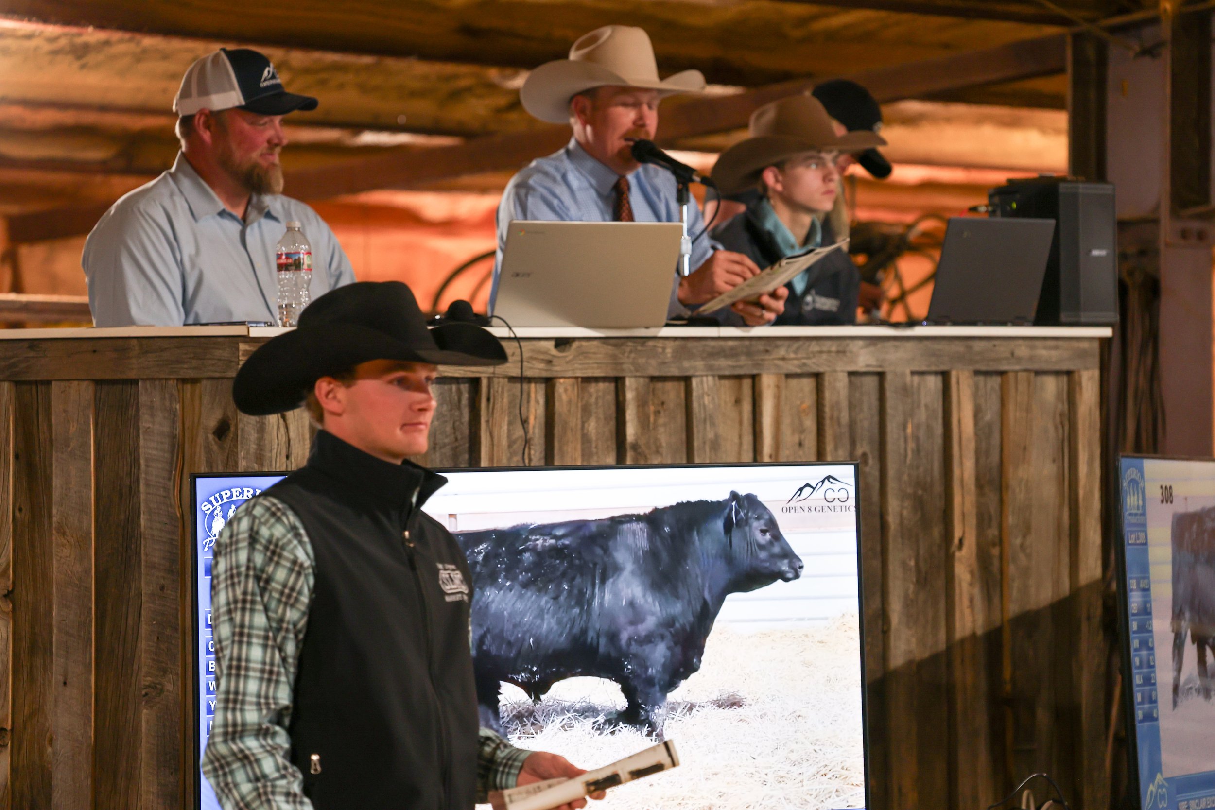 Open 8 Genetics Angus & SimAngus Bull Sale — Open 8 Genetics