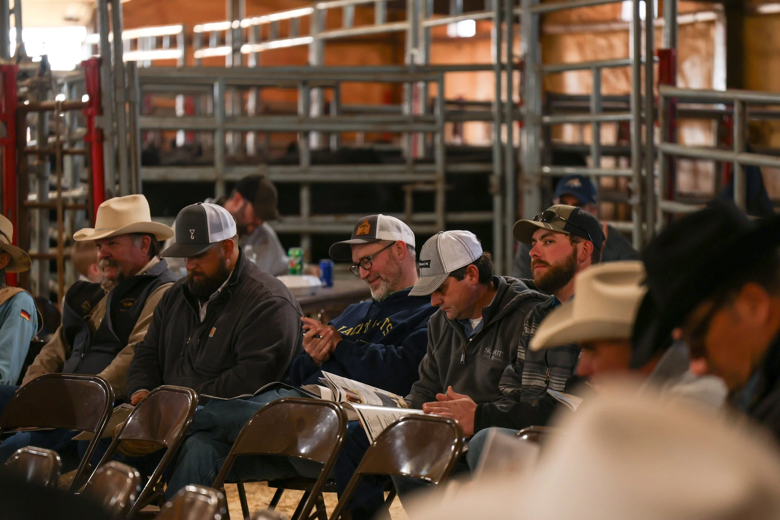 Open 8 Genetics Angus & SimAngus Bull Sale — Open 8 Genetics