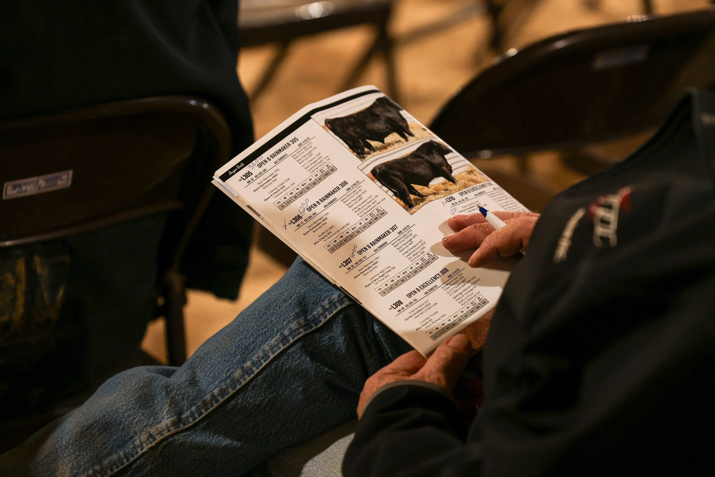 Open 8 Genetics Angus & SimAngus Bull Sale — Open 8 Genetics