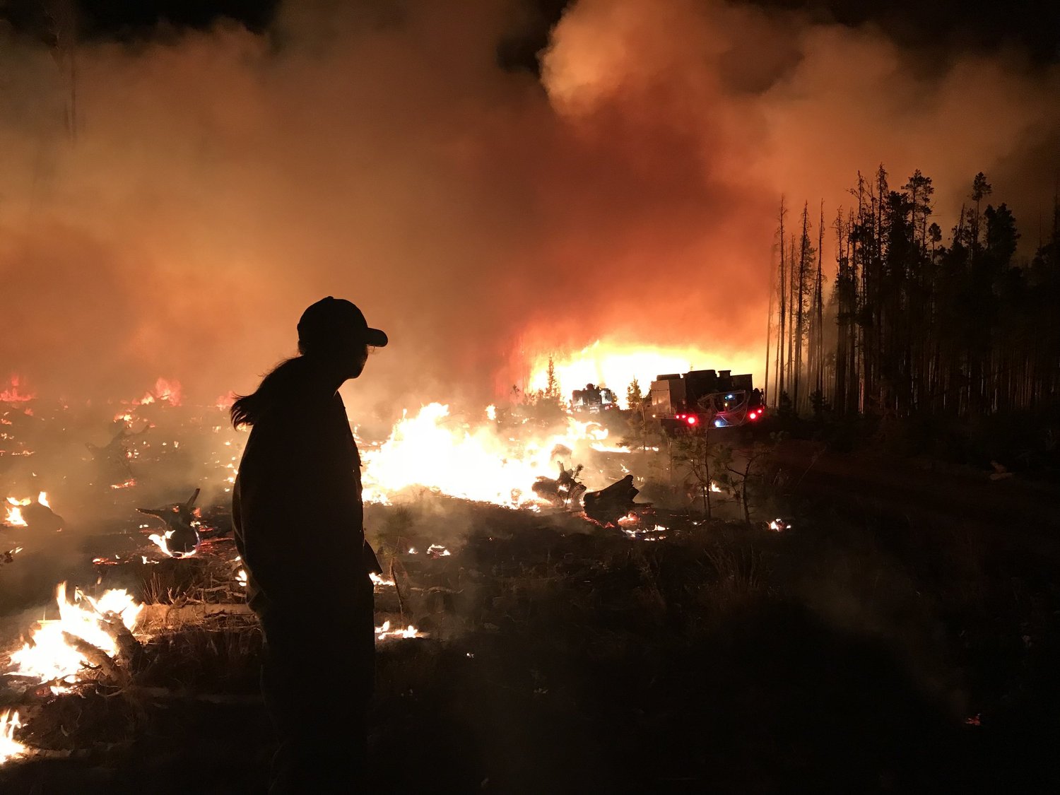 Treasure Valley Fire — About