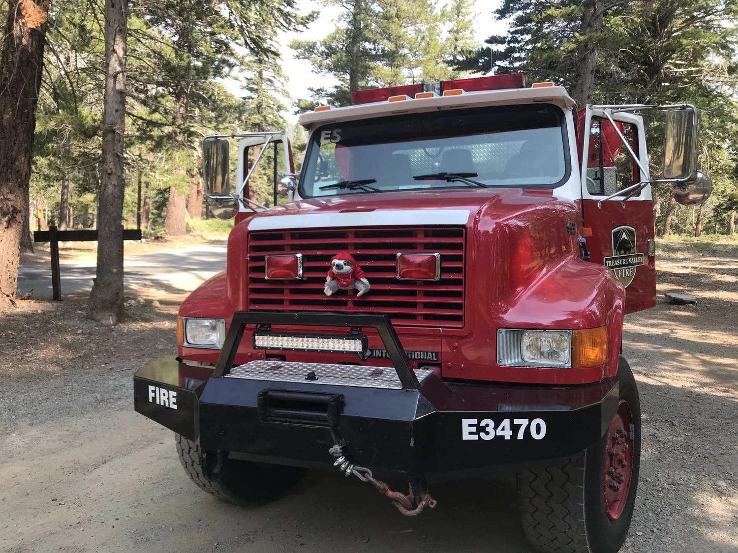 Treasure Valley Fire — About