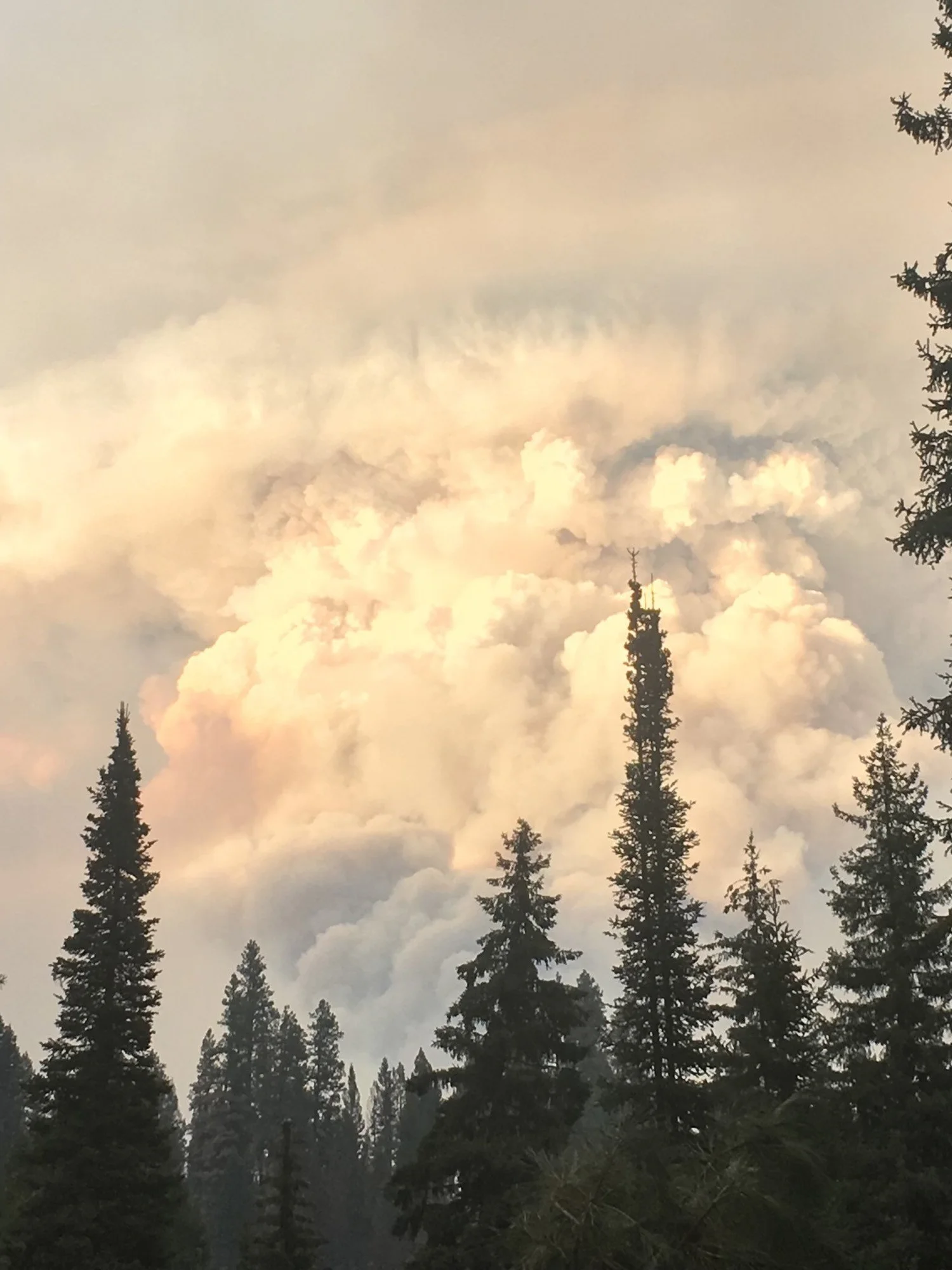 Treasure Valley Fire — About
