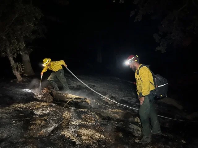 Treasure Valley Fire